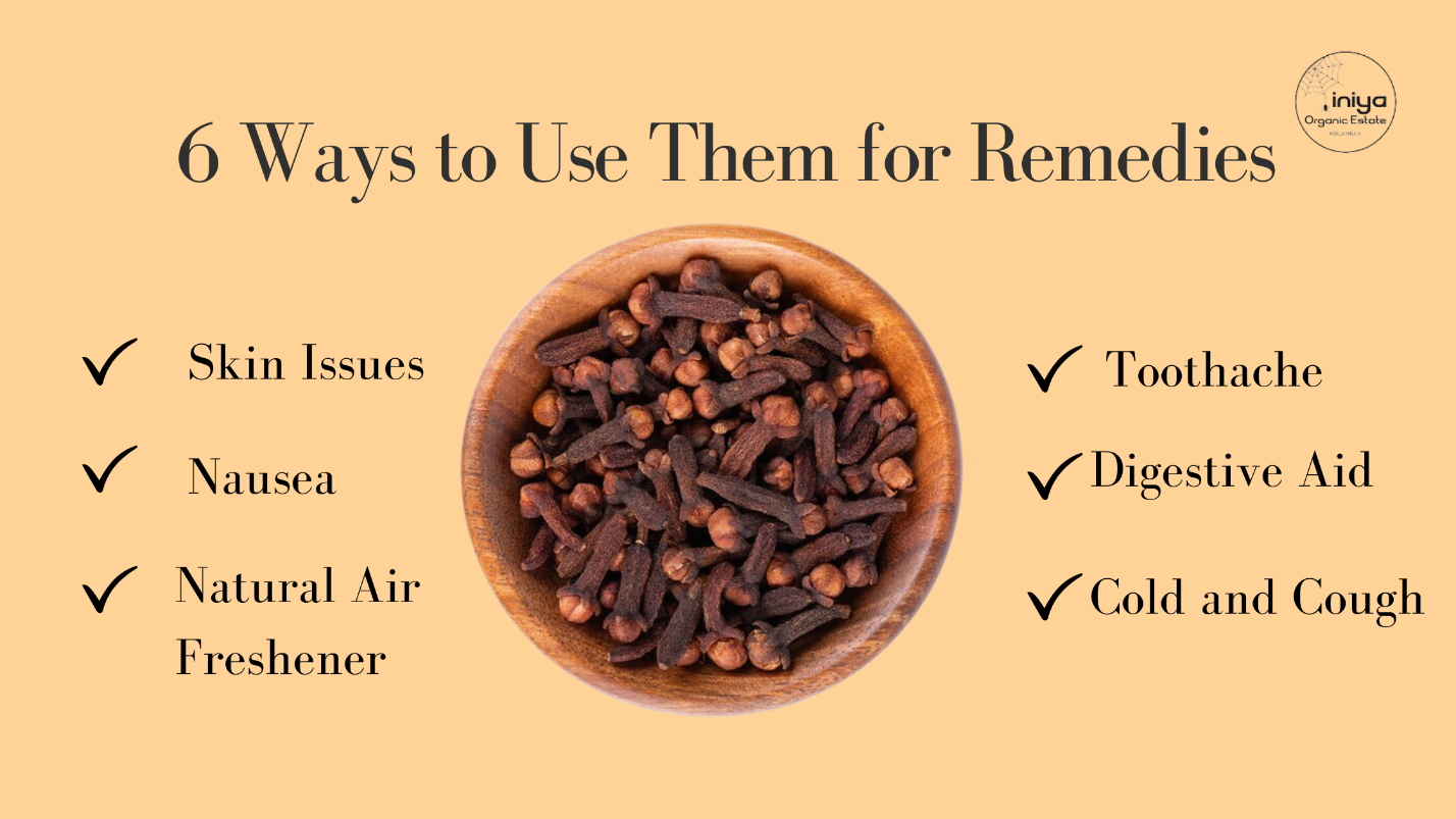 Benefits of Organic Cloves: 6 Healing Uses - Iniya Organic